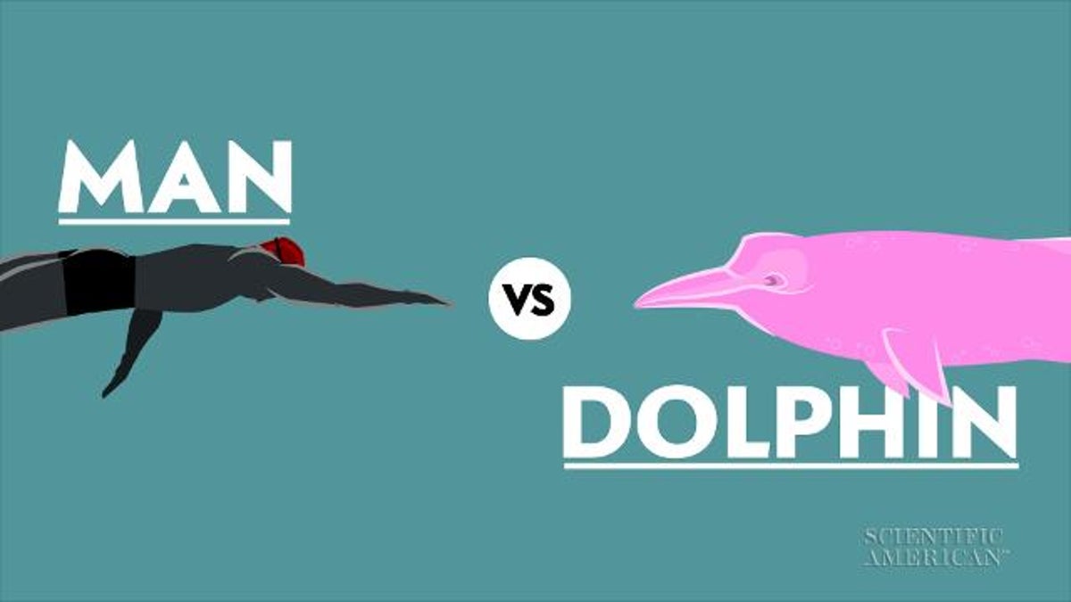 An Olympic Showdown: Human versus Dolphin | Scientific American