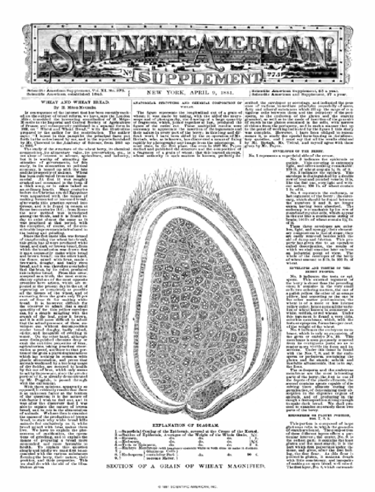 Scientific American Supplements Volume 11, Issue 275supp | Scientific ...