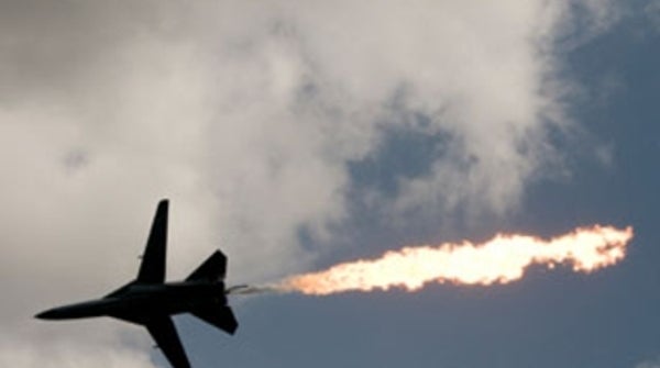 Using Plants Instead of Petroleum to Make Jet Fuel - Scientific American