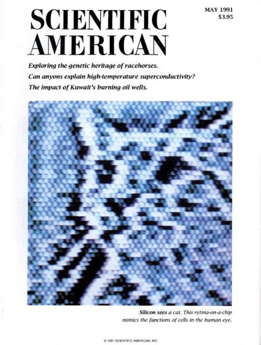 Scientific American Volume 264, Issue 5 | Scientific American