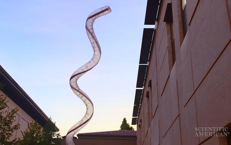 Soft Robot Moves by Mimicking Plants - Scientific American