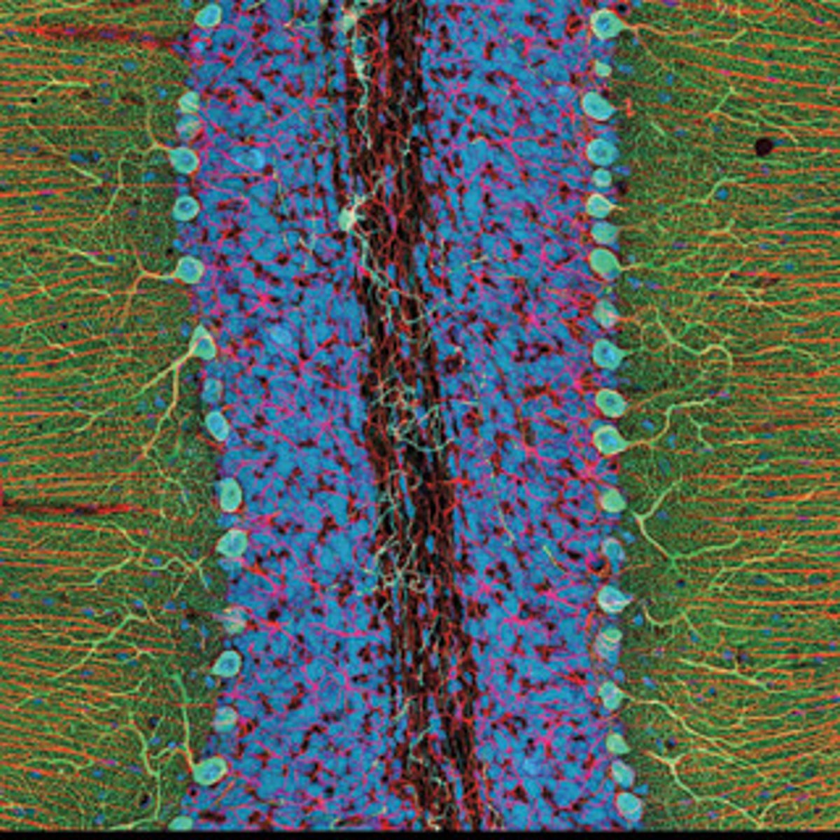 Recently Patented Inventions | Scientific American
