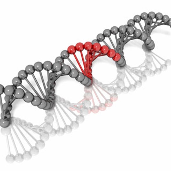 How does gene therapy work? - Scientific American