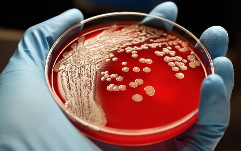 Superbug Explosion Triggers U.N. General Assembly Meeting - Scientific ...