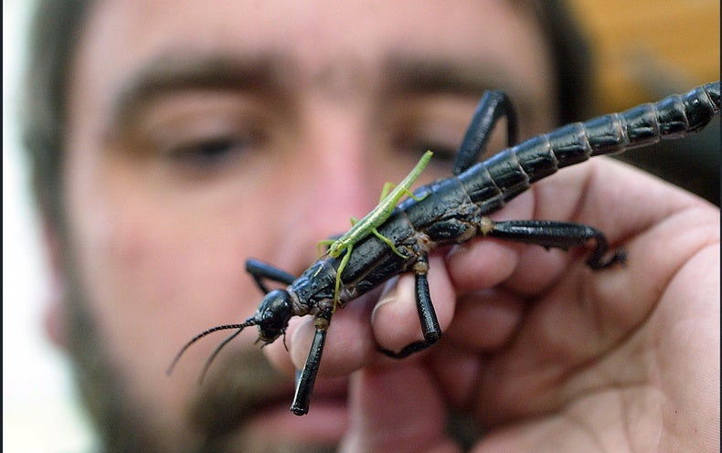 Scientists Launch Worldwide Search for Lost Species [Slide Show ...