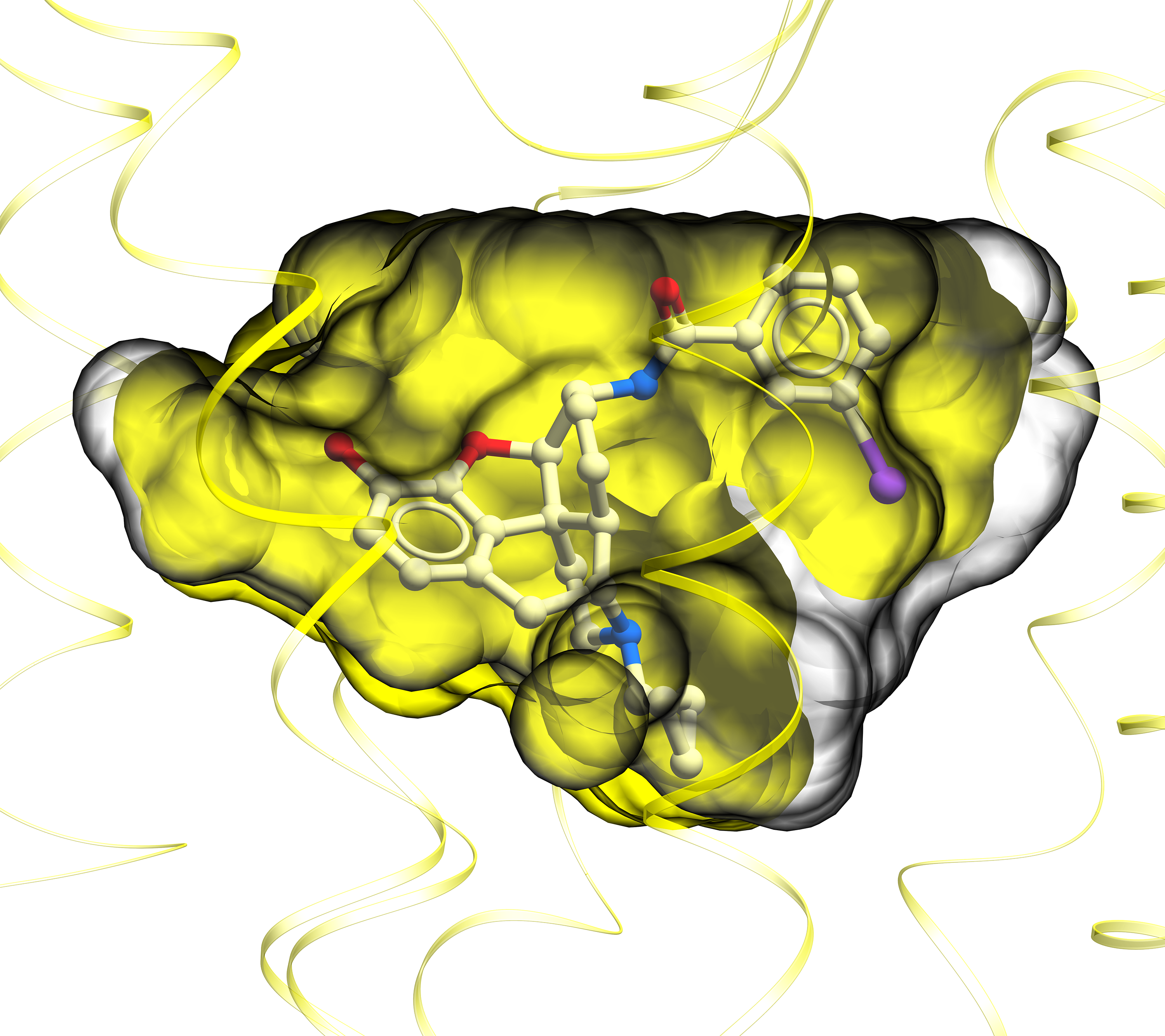 Starving Cancer Cells Could Help Treat Glioblastoma - Scientific American