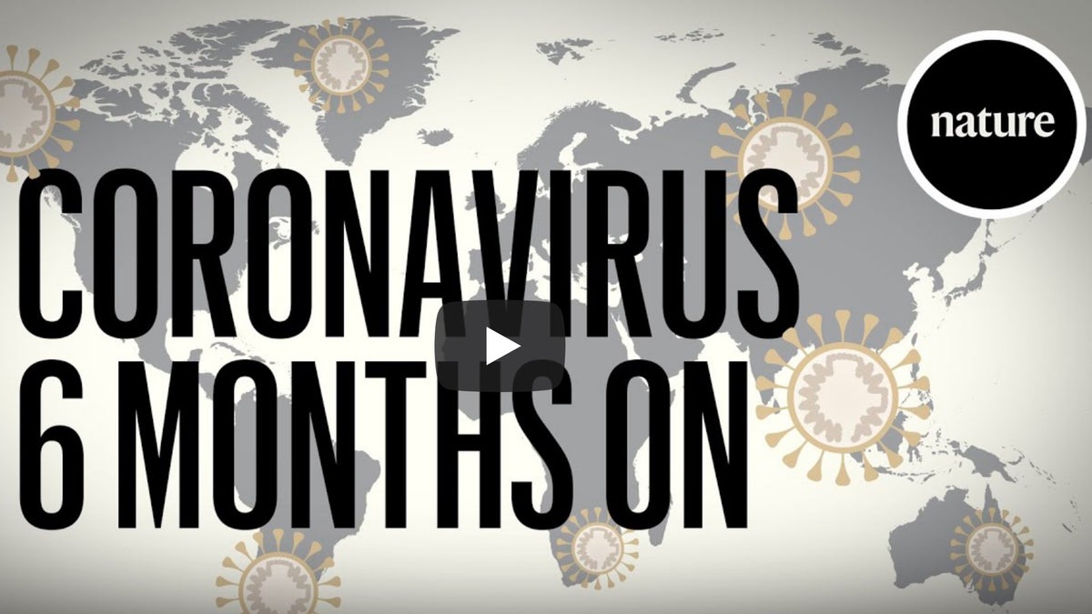 COVID-19: The Big Questions That Remain | Scientific American