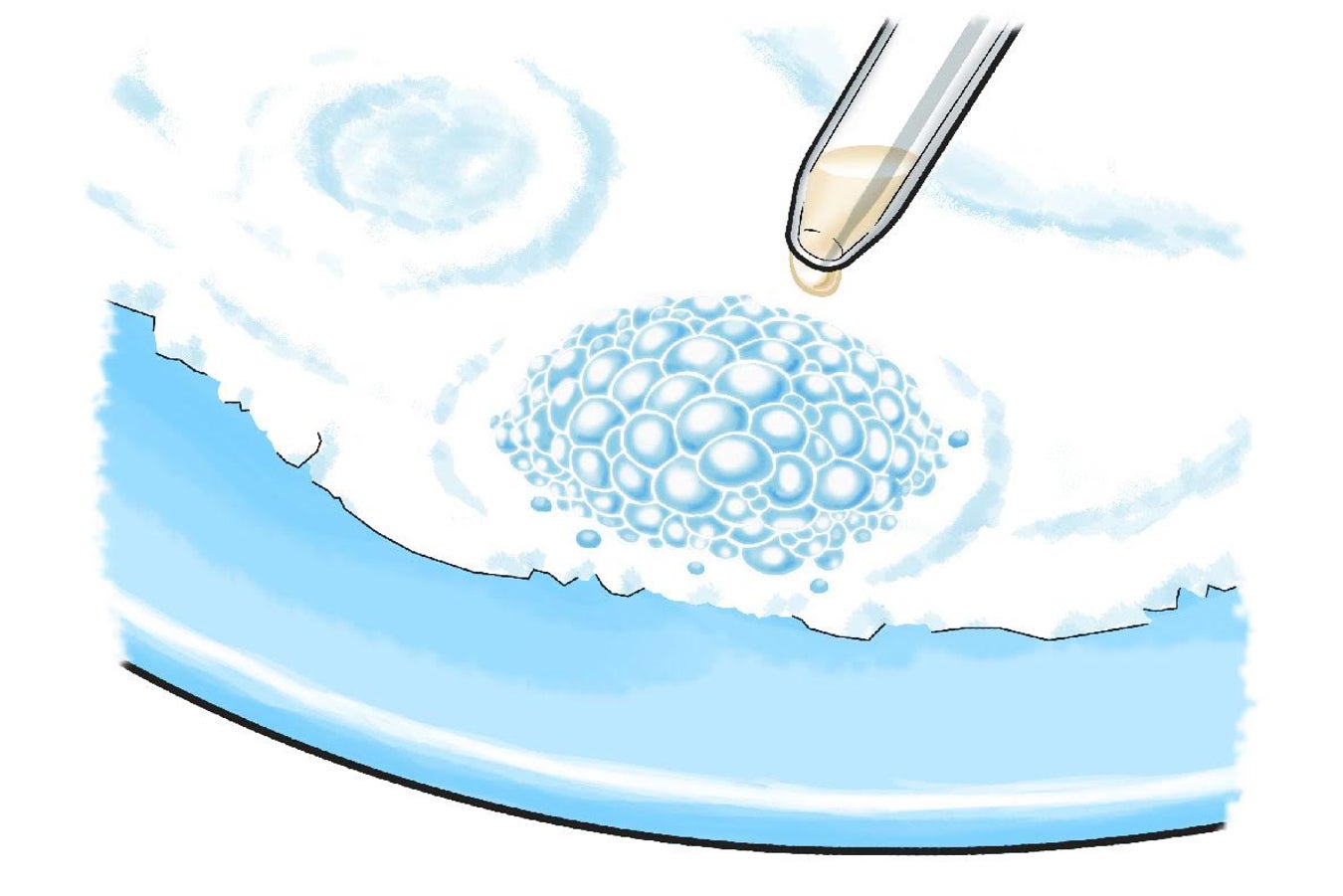 A Simple Sourness Detector | Scientific American