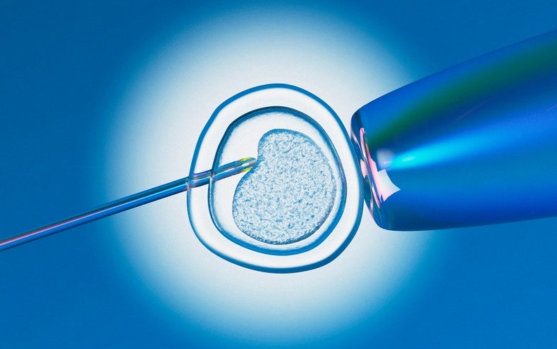 Congress Revives Ban on Altering the DNA of Human Embryos Used for ...