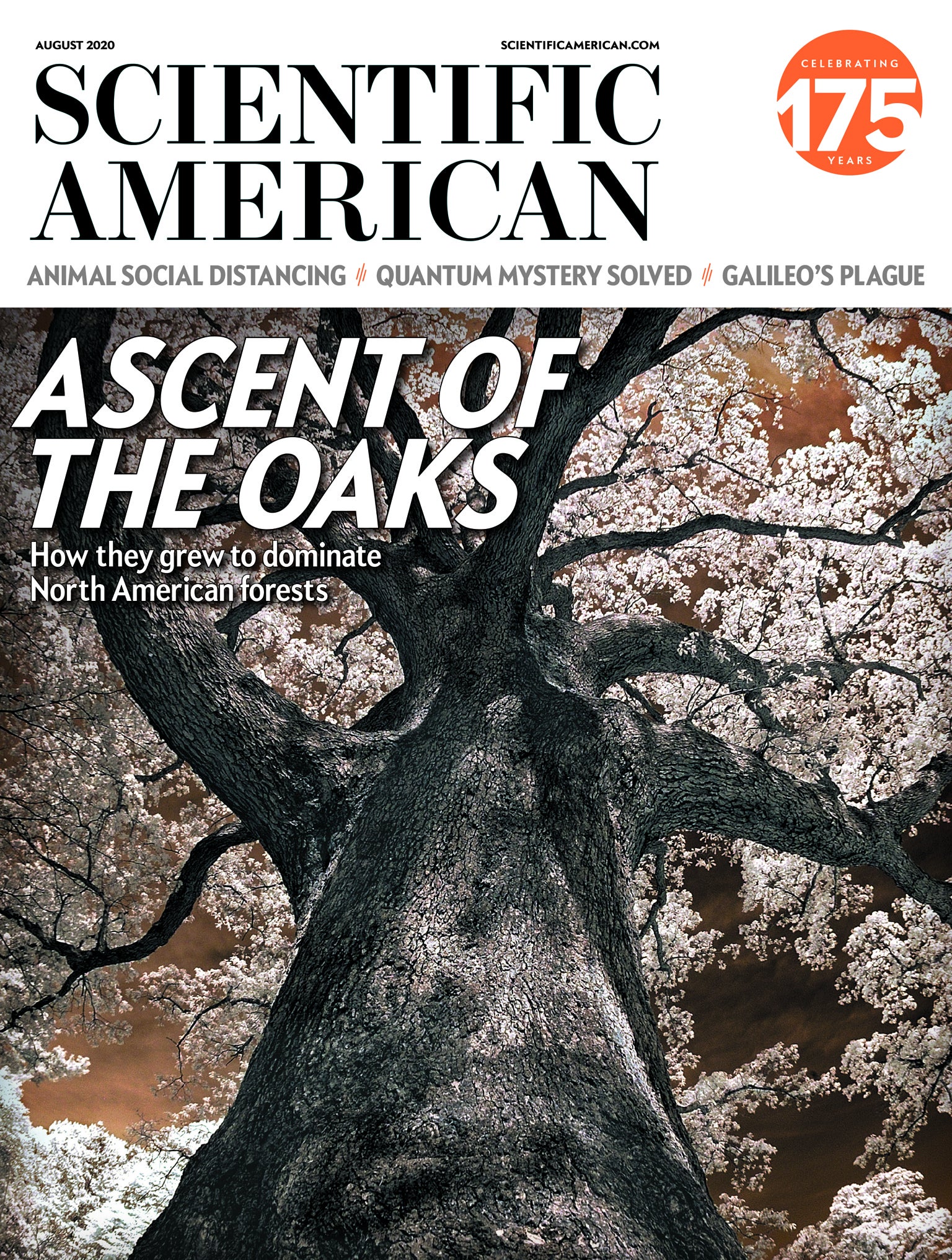 Readers Respond to the August 2020 Issue - Scientific American