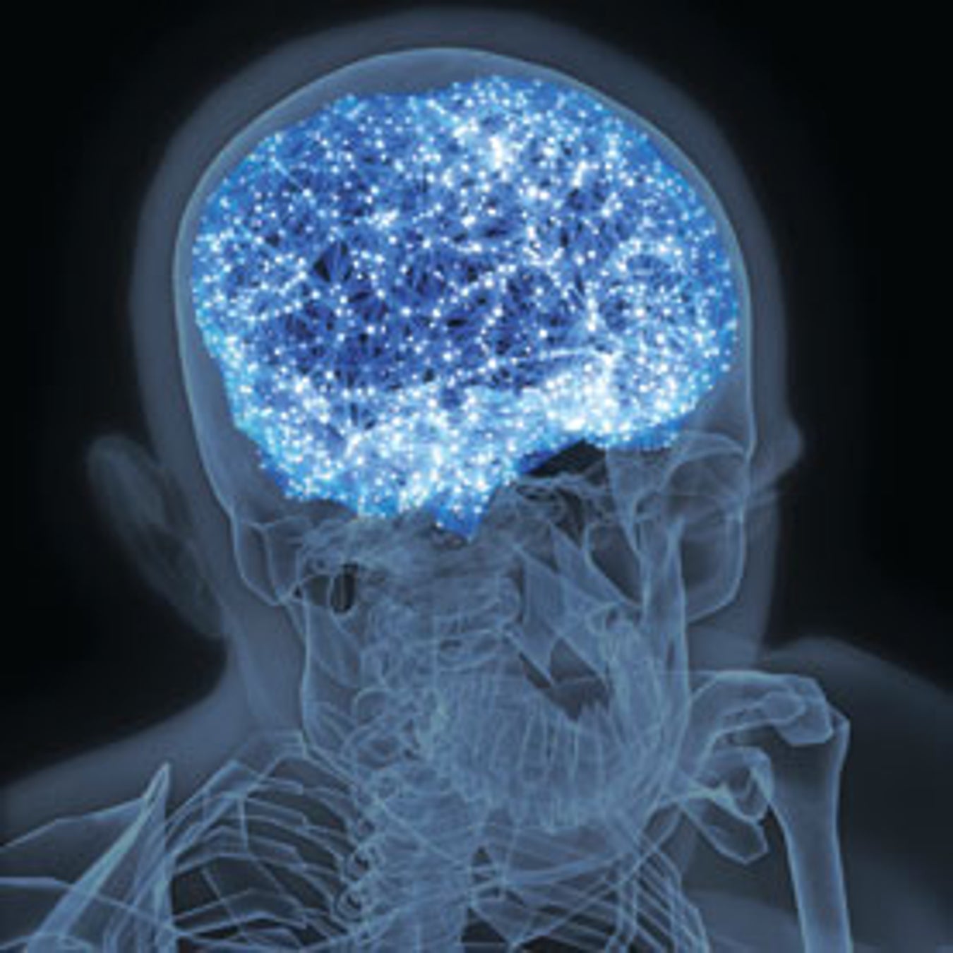 100 Trillion Connections: New Efforts Probe and Map the Brain's ...