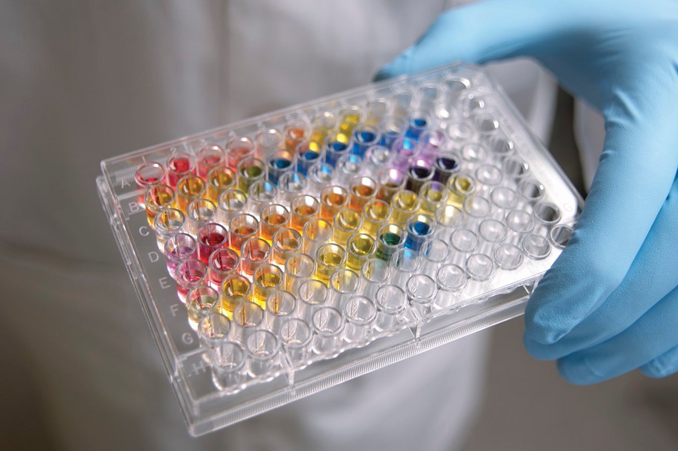 Computerized Chemical Toxicity Prediction Beats Animal Testing ...