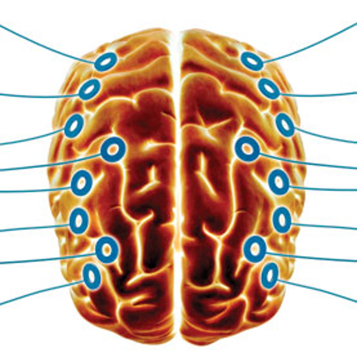 Signal for Consciousness in Brain Marked by Neural Dialogue ...