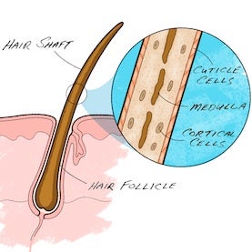 Measuring hair width with laser diffraction - ggjery