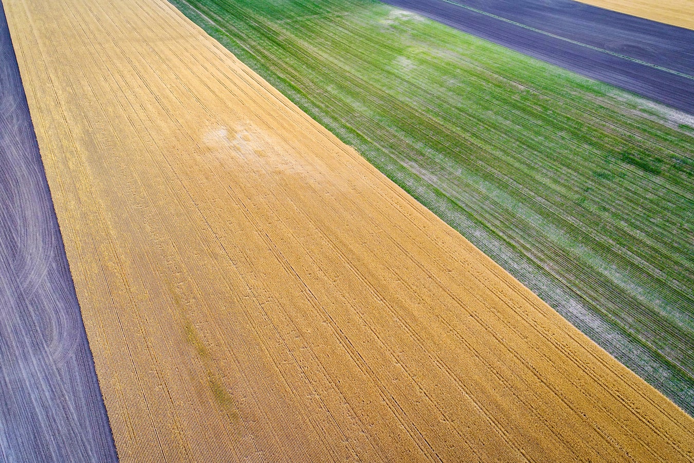 A Nation Divided: Arid/Humid Climate Boundary in U.S. Creeps Eastward ...