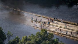 Stories by Devika Subramanian News and Research - Scientific American