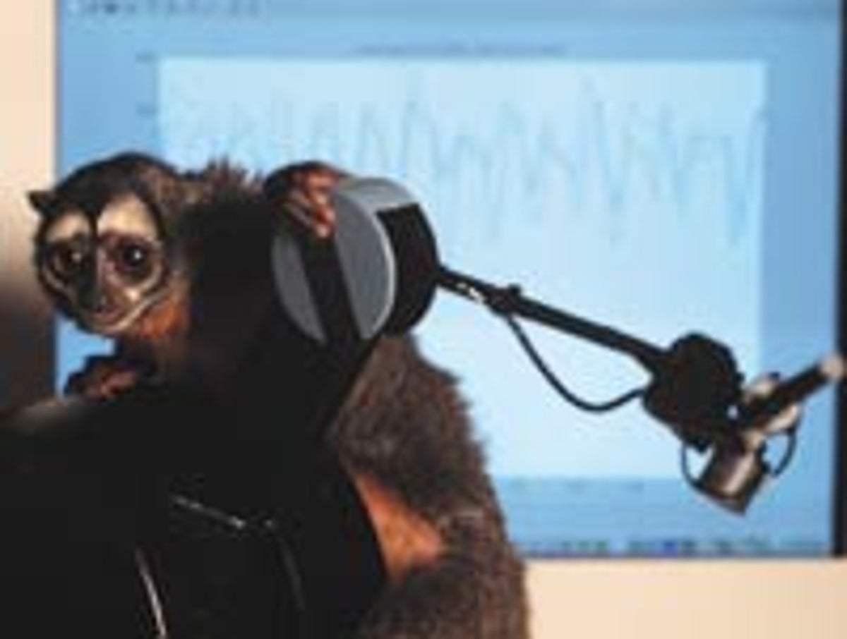 Controlling Robots with the Mind | Scientific American