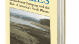 Stories by Douglas Jehl News and Research - Scientific American