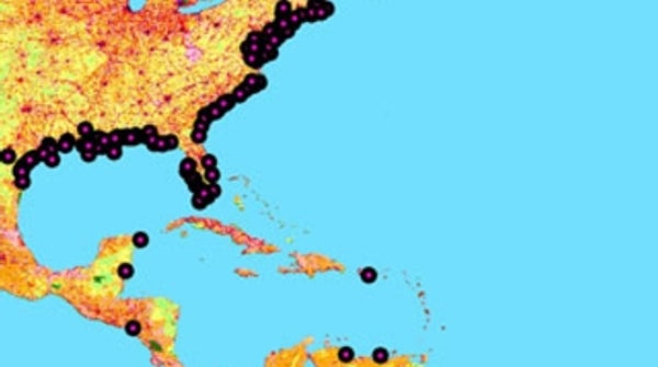 Oceanic Dead Zones Continue to Spread - Scientific American