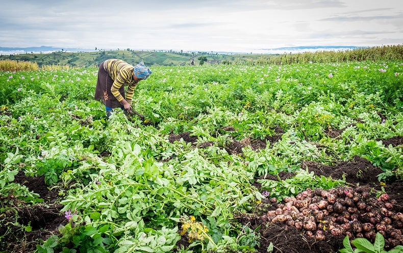 World Hunger Is Increasing, Thanks to Wars and Climate Change ...
