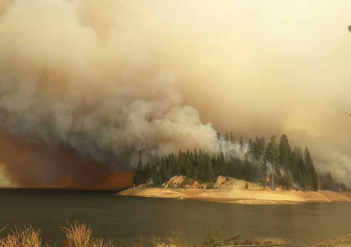 Climate Change Signal Emerges from the Weather | Scientific American