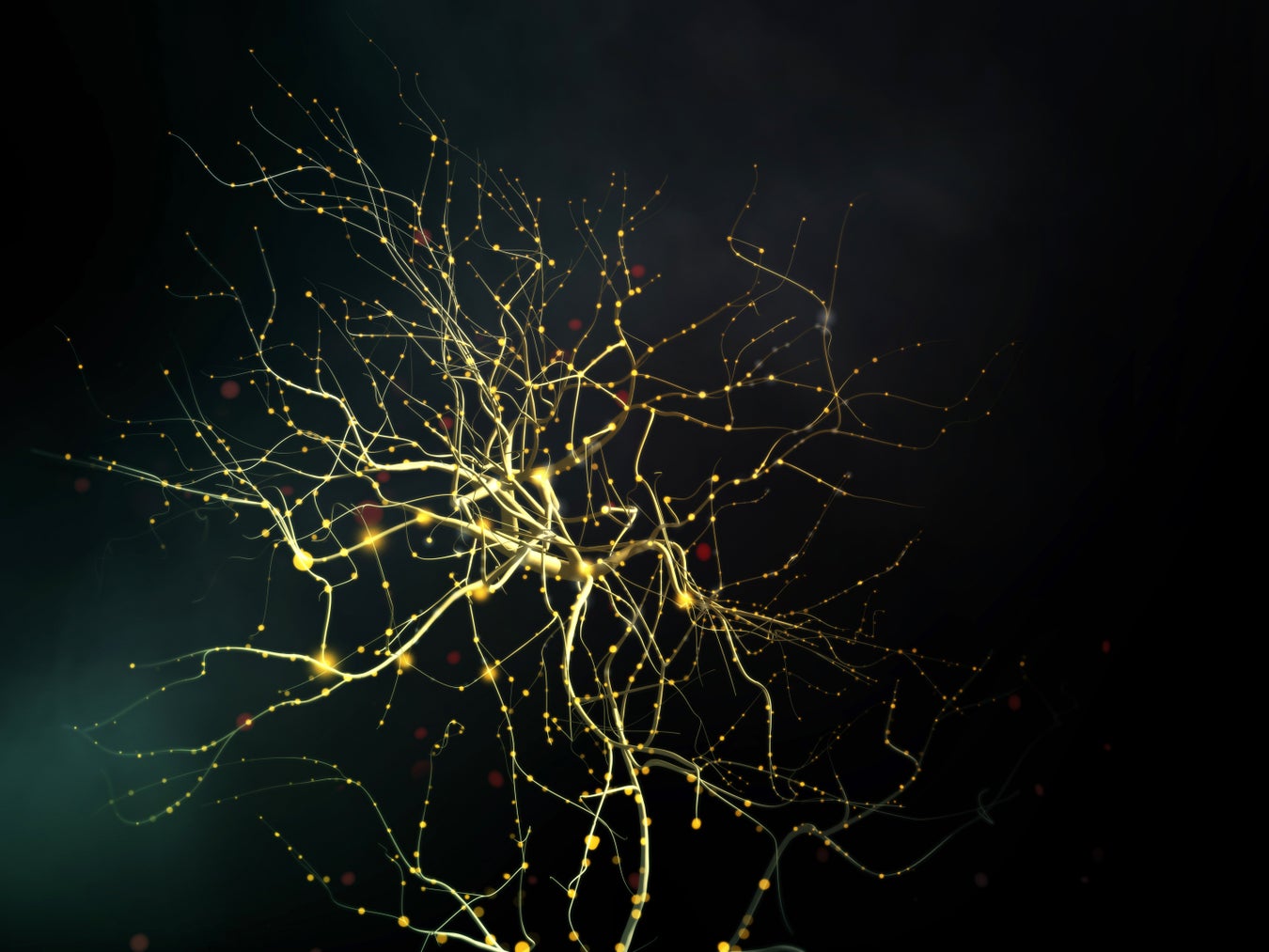 Deep-Brain Recordings May Show Where Unhappiness Lives | Scientific ...