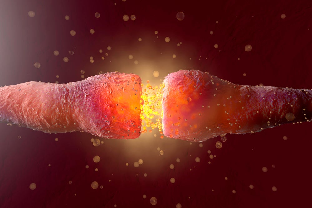 Could Memory Traces Exist in Cell Bodies? | Scientific American