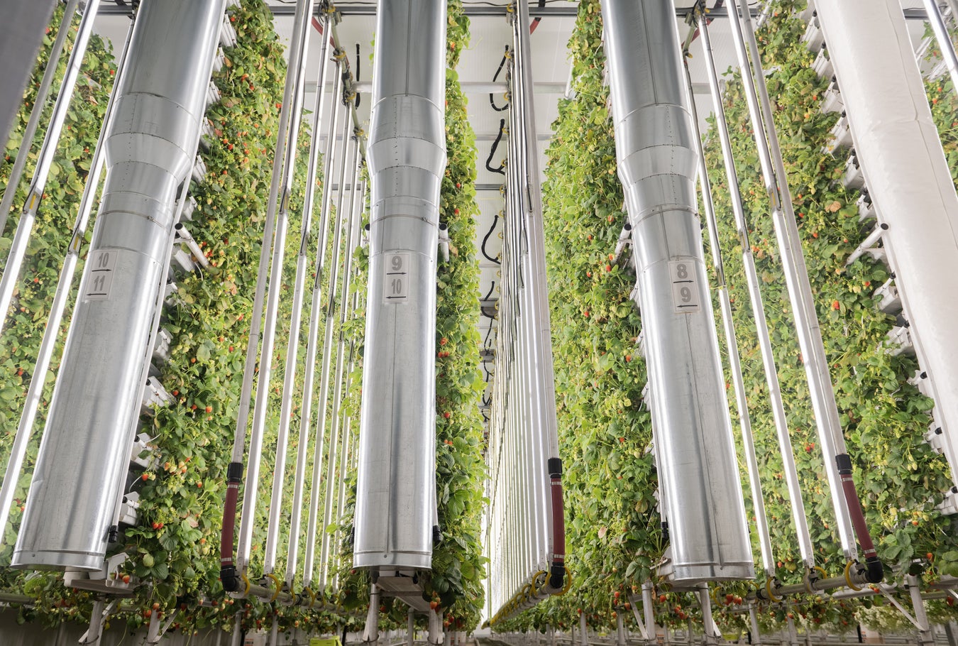 Robotic Bees Could Support Vertical Farms Today and Astronauts Tomorrow ...