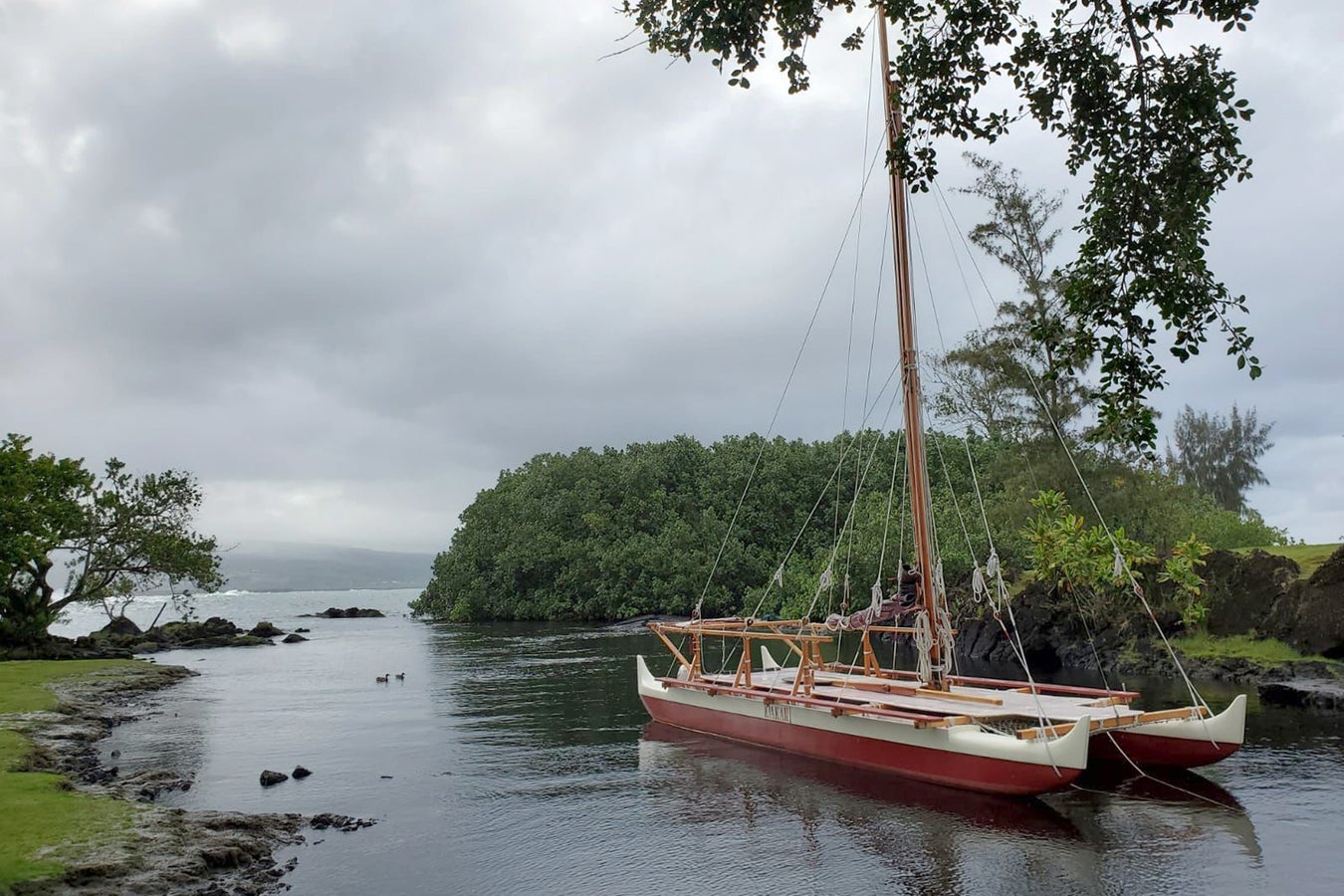 Genomes Show the History and Travels of Indigenous Peoples | Scientific ...