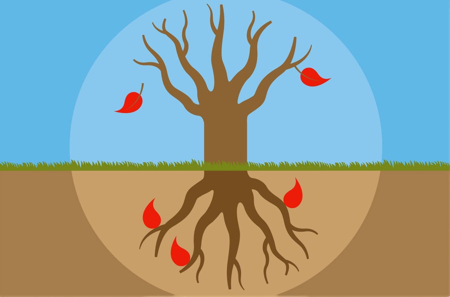 How 'Zombie' Fires Rise from the Dead in Spring | Scientific American