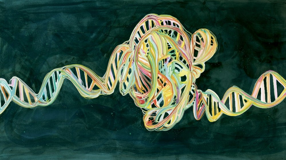 How Strange Twists in DNA Orchestrate Life | Scientific American