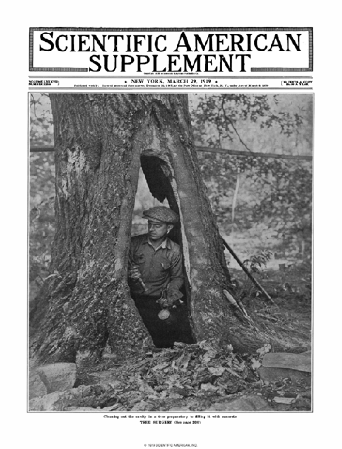 Scientific American Supplements Volume 87, Issue 2256supp | Scientific ...