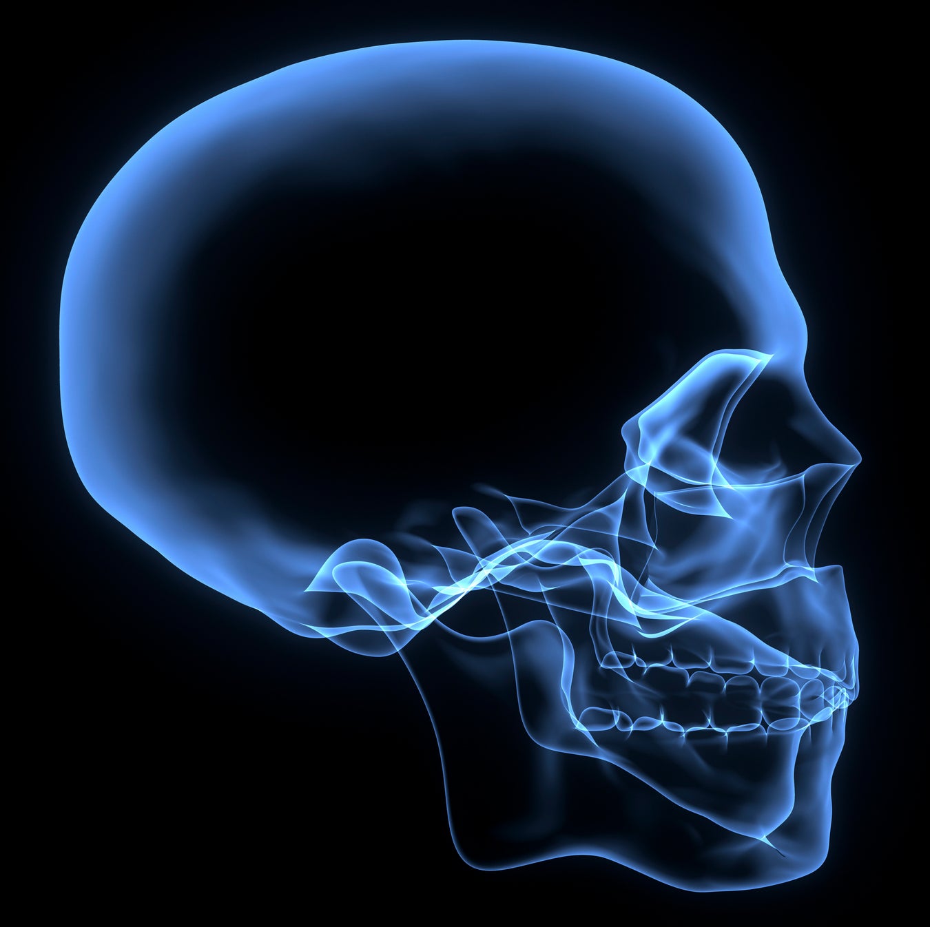 Your Skull Shapes Your Hearing | Scientific American