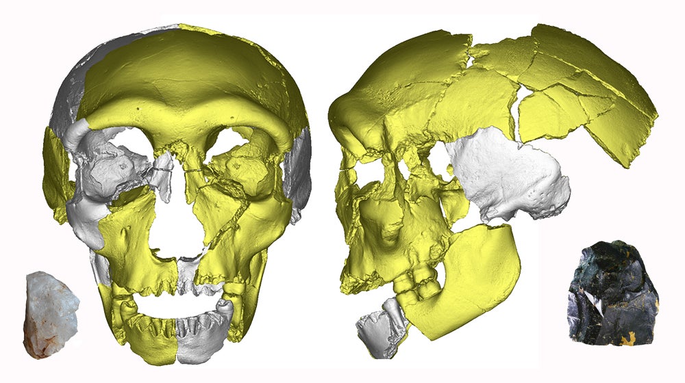 Possible New Human Species Found through 300,000-Year-Old Jawbone ...