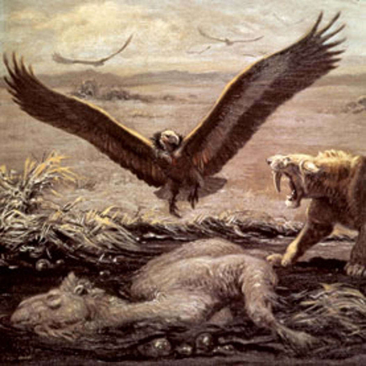 Time Traveler: The Art of Charles R. Knight | Scientific American