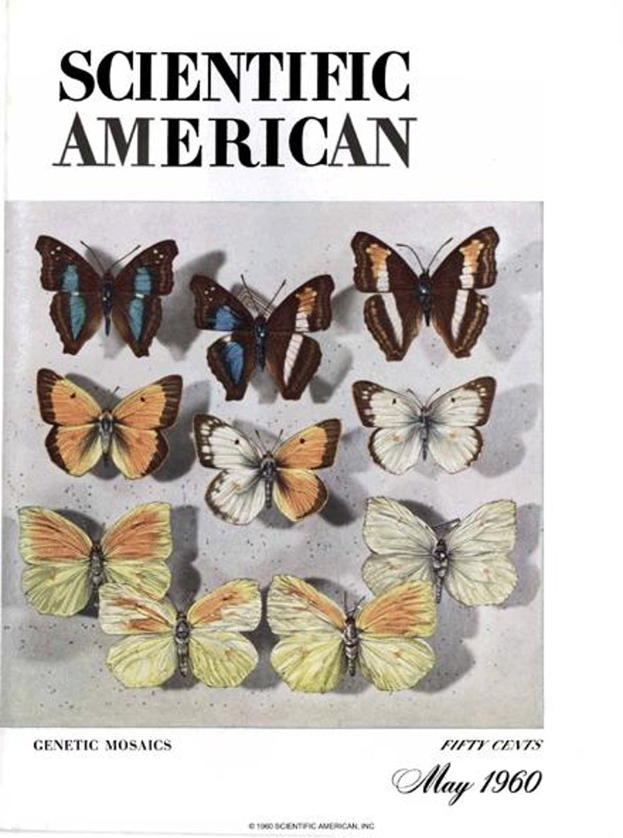 Scientific American Volume 202, Issue 5 | Scientific American