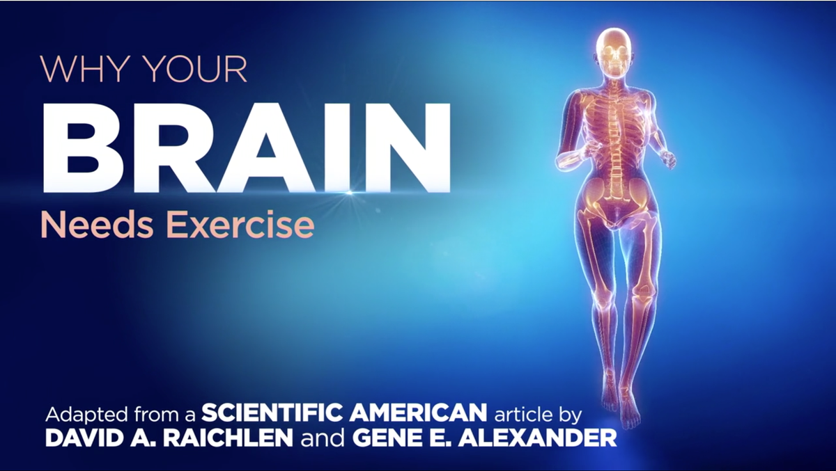 Why Your Brain Needs Exercise | Scientific American
