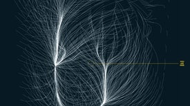 Stories by R. Brent Tully News and Research - Scientific American