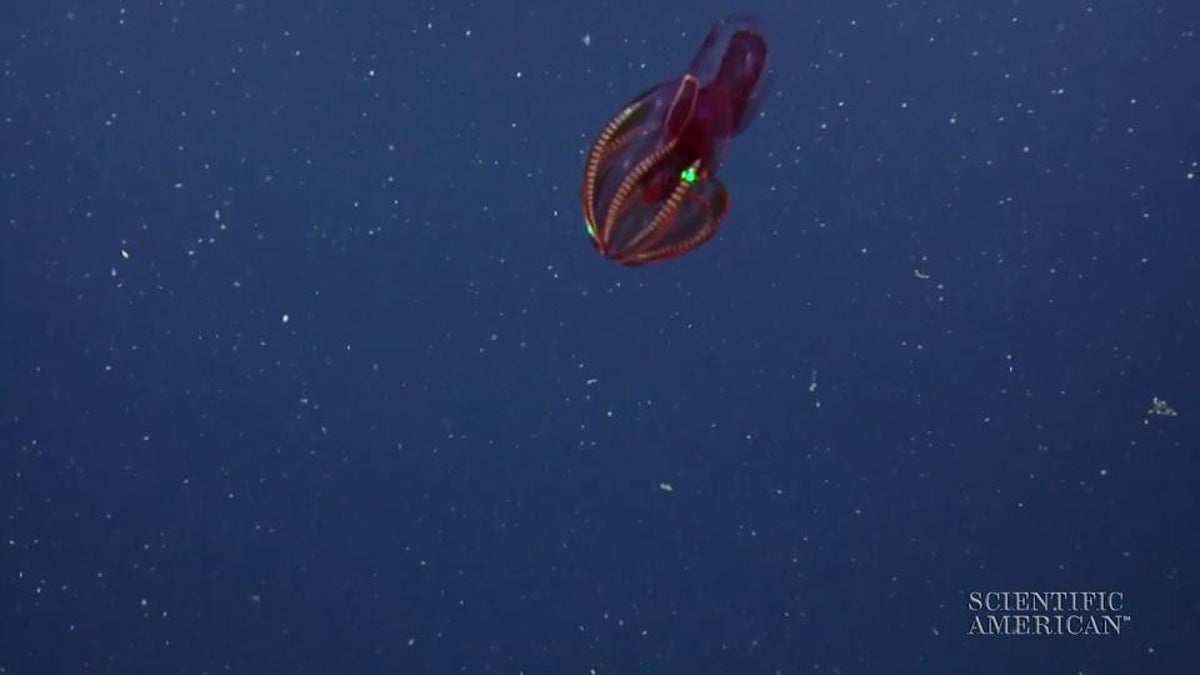 How to Explore Otherworldly Oceans | Scientific American