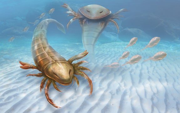 Primordial Sea Beast Resembled Ancient Greek Warship - Scientific American
