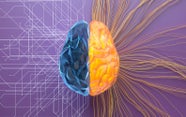Does Brain Training Actually Work Scientific American Does Brain Training Actually Work Scientific American