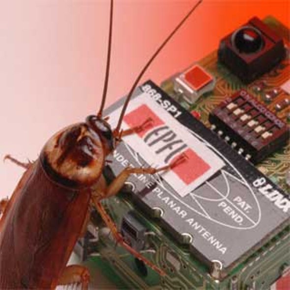 Robotic Roaches Mess with Real Bugs' Minds - Scientific American