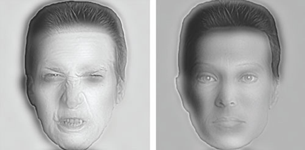 What's in a Face? | Scientific American