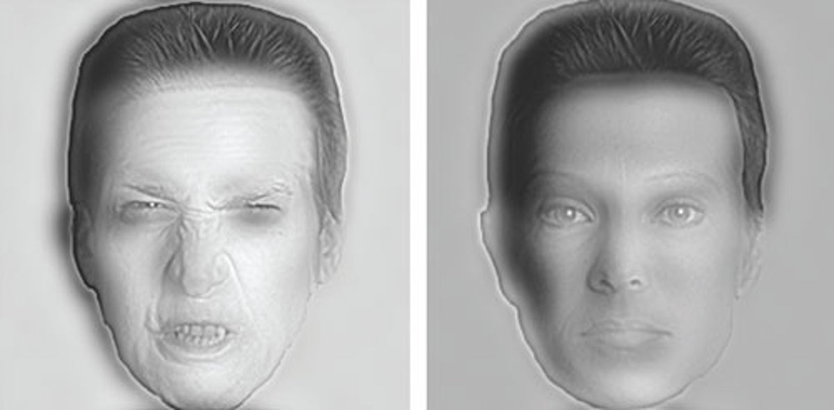 What's in a Face? | Scientific American