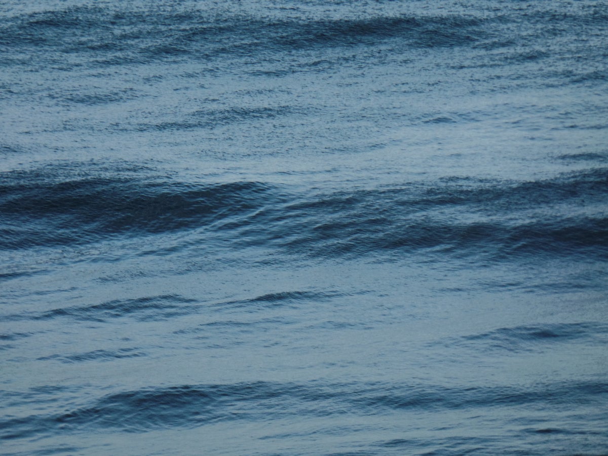 Our Solar System Is Overflowing with Liquid Water [Graphic ...