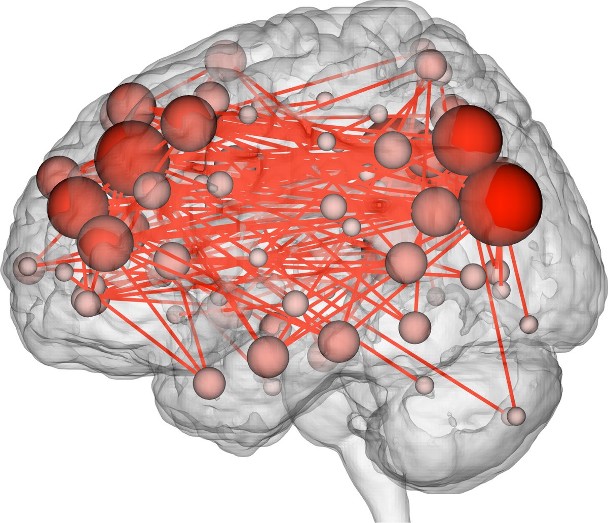 "Brainprints" Pick Out an Individual from the Crowd | Scientific American