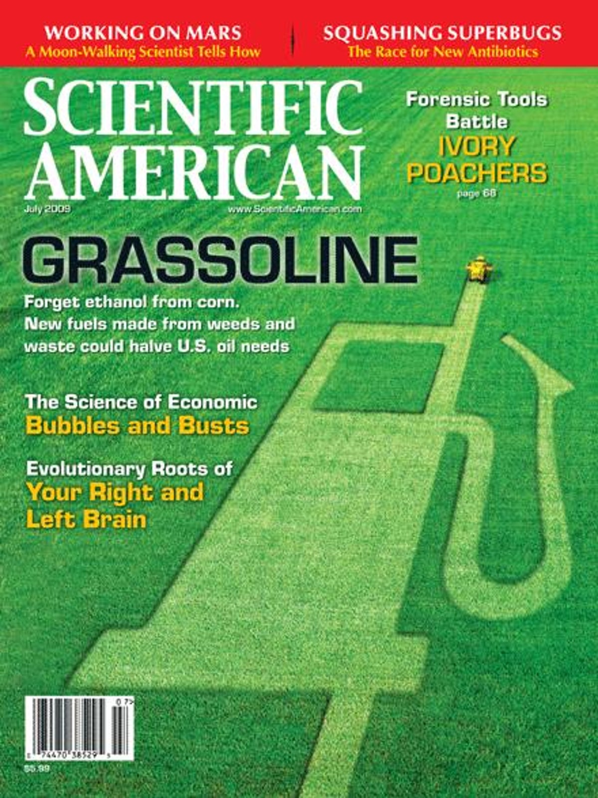 July 2009 | Scientific American