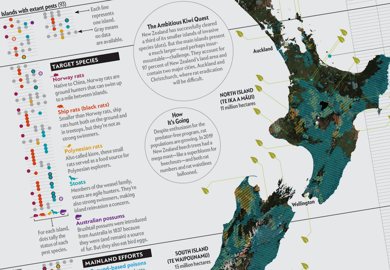 Track New Zealand's Bid to Take Back Nature | Scientific American