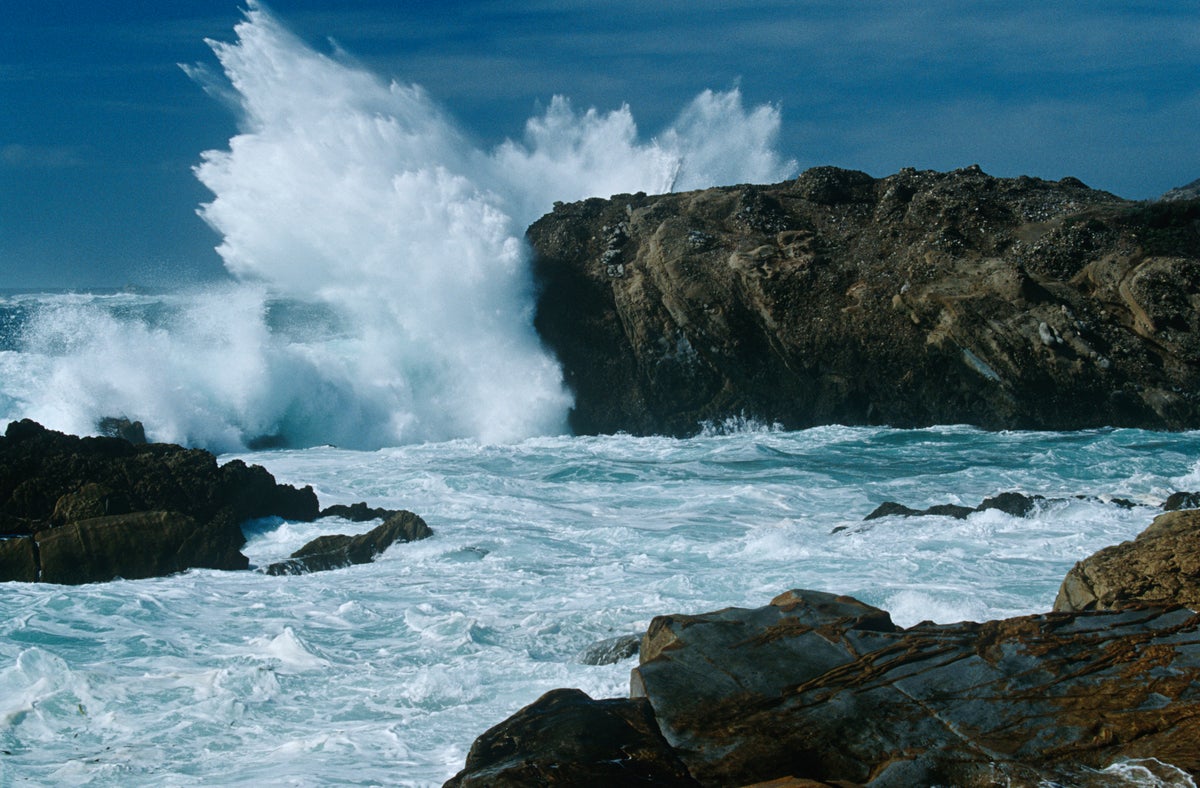 Plastic Pollution Perturbs Oyster Offspring | Scientific American