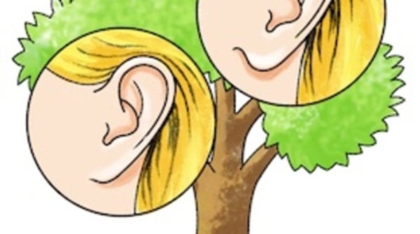 Follow Family Traits with an Easy Tree - Scientific American